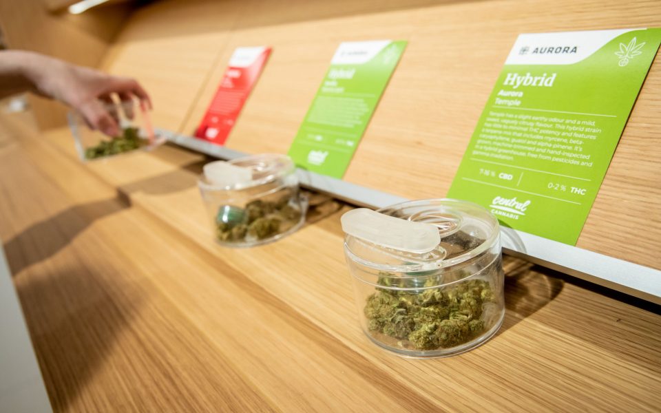 Cannabis Retail Guide: Central Cannabis, London - Pot Portal