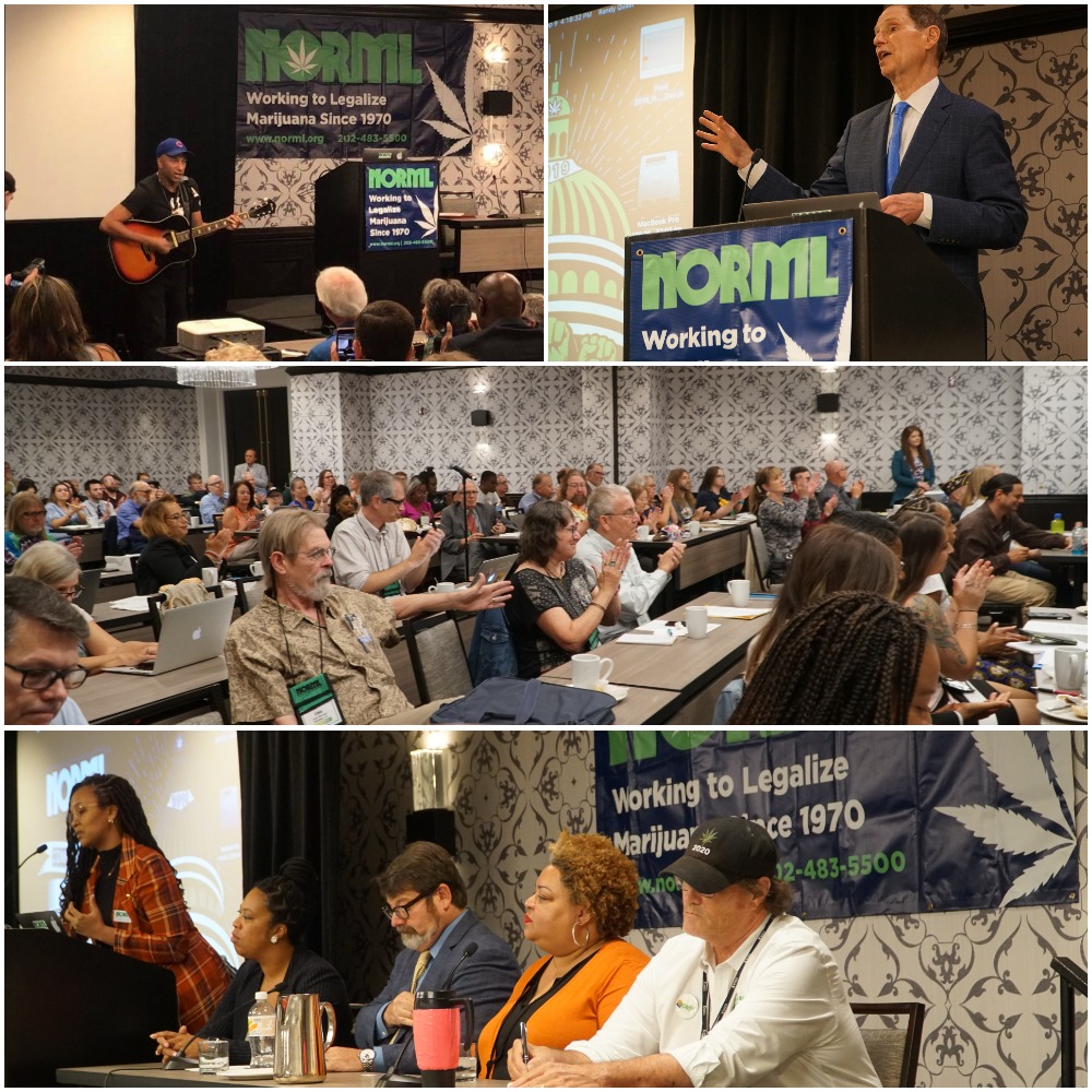 NORML Members Take DC by Storm - Pot Portal