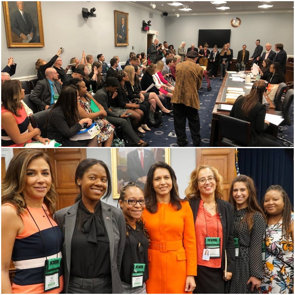 NORML Members Take DC by Storm - Pot Portal