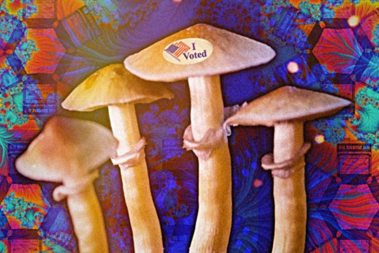 What’s the status on shrooms in Oregon? - Pot Portal